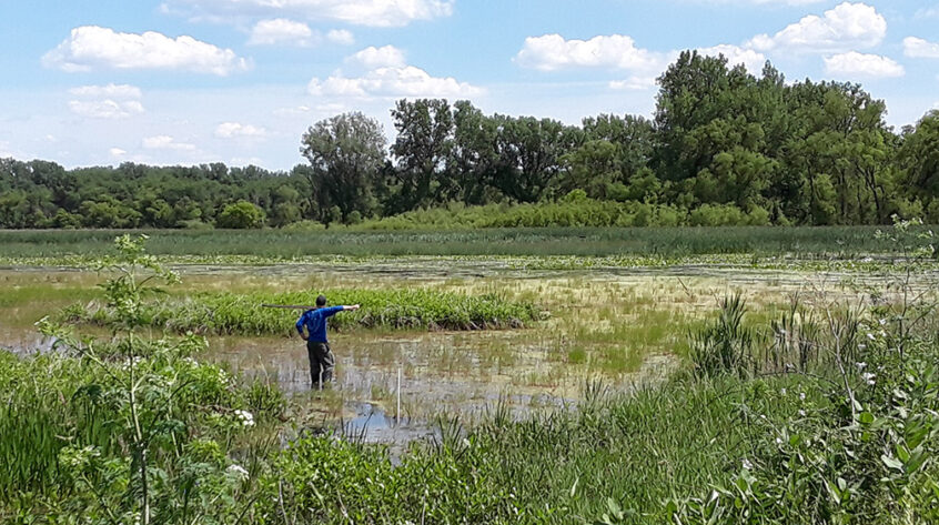 Biogeography of the Grand Kankakee Marsh, Northern Indiana, U.S. over ...
