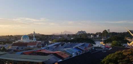 Beyond the Holarctic comfort zone: Thermoregulation in a Sundaland ...